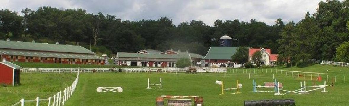 Green Meadows Stables – Southwestern Wisconsin's Happiest Place for Horses