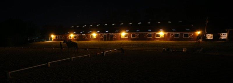 New Boarder Info – Green Meadows Stables