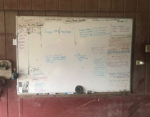 Experts – Green Meadows Stables